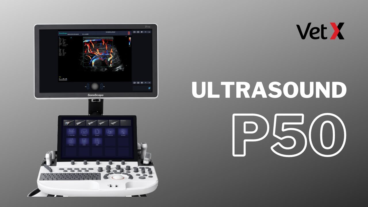 P50 | Veterinary Ultrasound System - YouTube