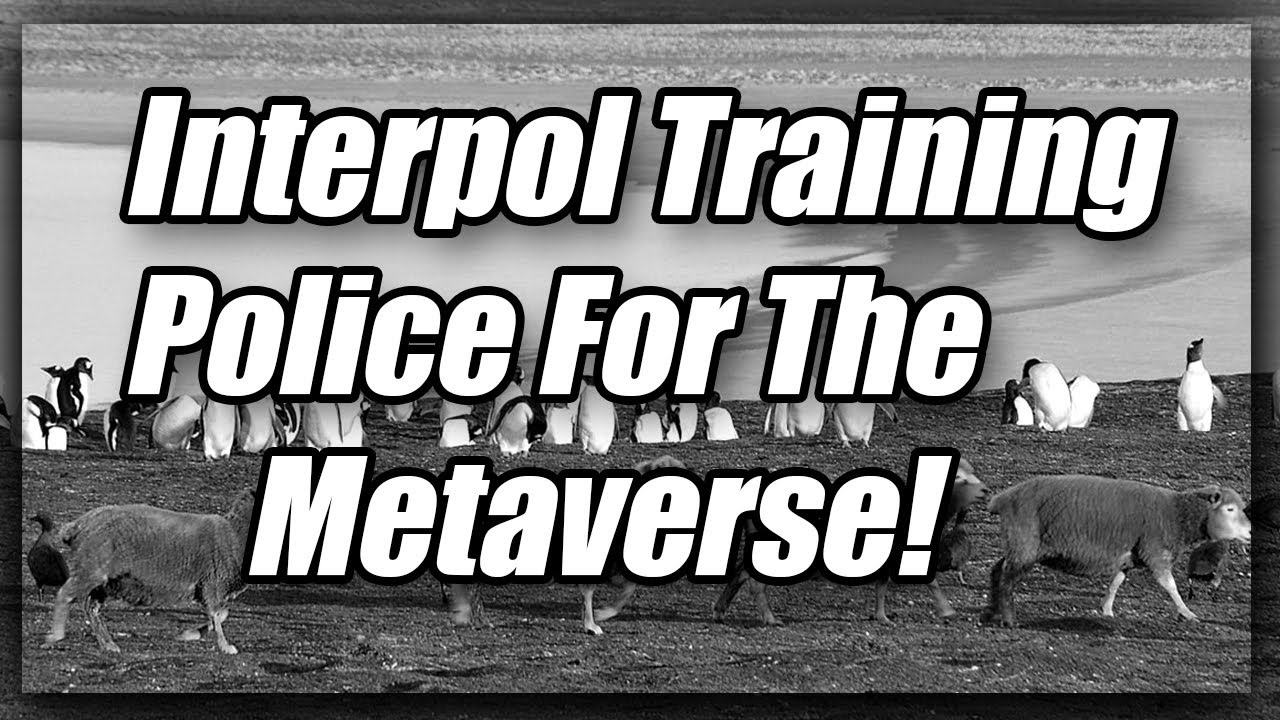 Interpol Training Police Officers For The Metaverse! - YouTube