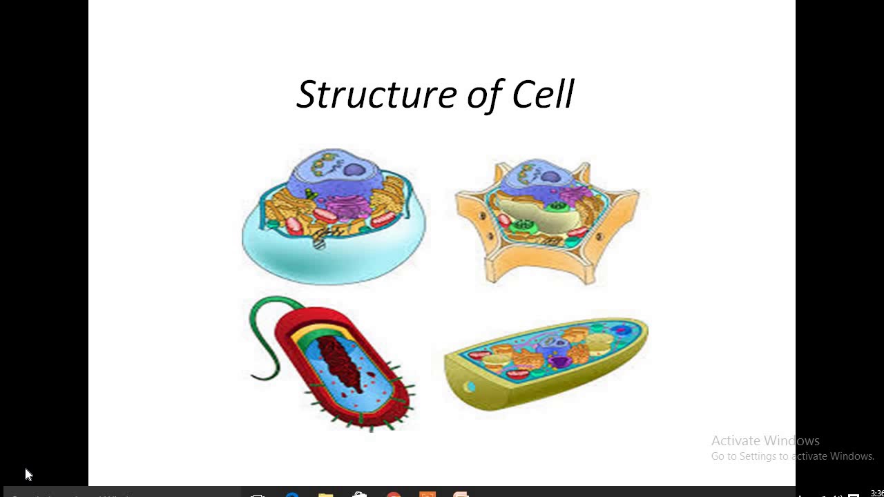 Introduction to structure of cell - YouTube