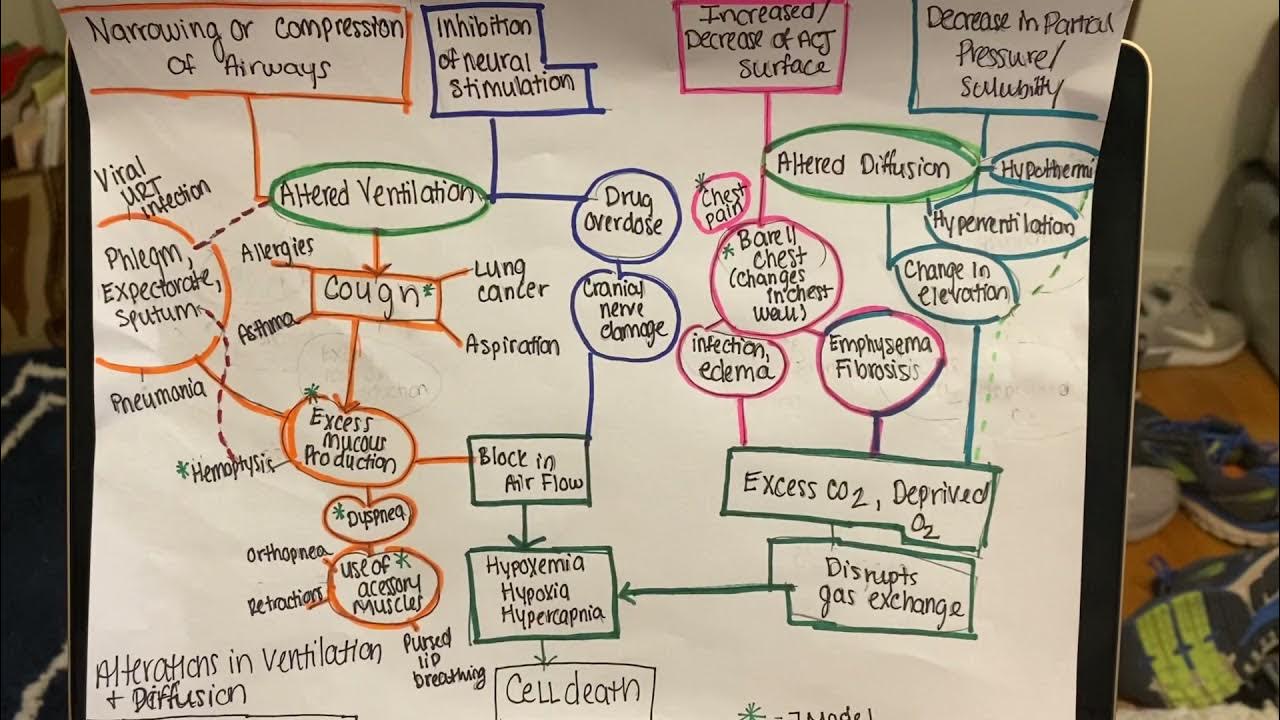 Pathophysiology Ventilation/Diffusion concept map - YouTube