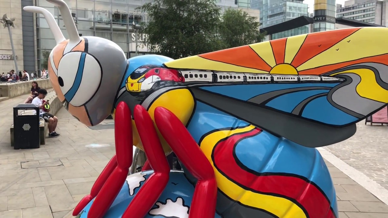 Manchester Bee hunt 2018 - YouTube