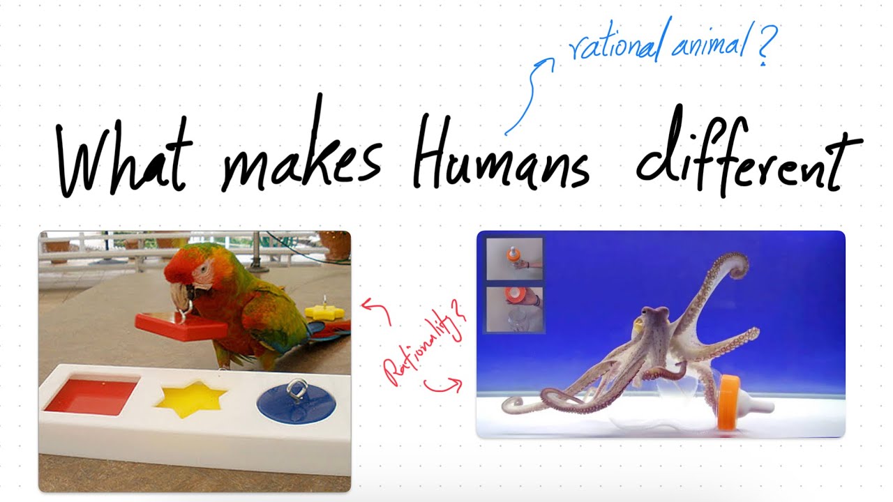 The Two essential natures of a True Human Being - YouTube