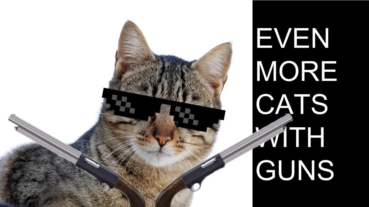 Even More Kittens With Guns... - YouTube