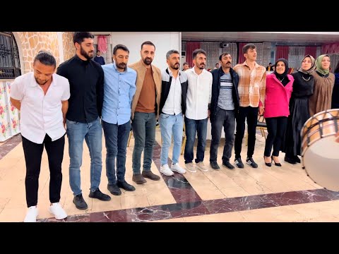 ŞEĞMUSE ERBANİ BOMBA HALAY DÜĞÜN COŞTU MARDİN YIKILIYOR