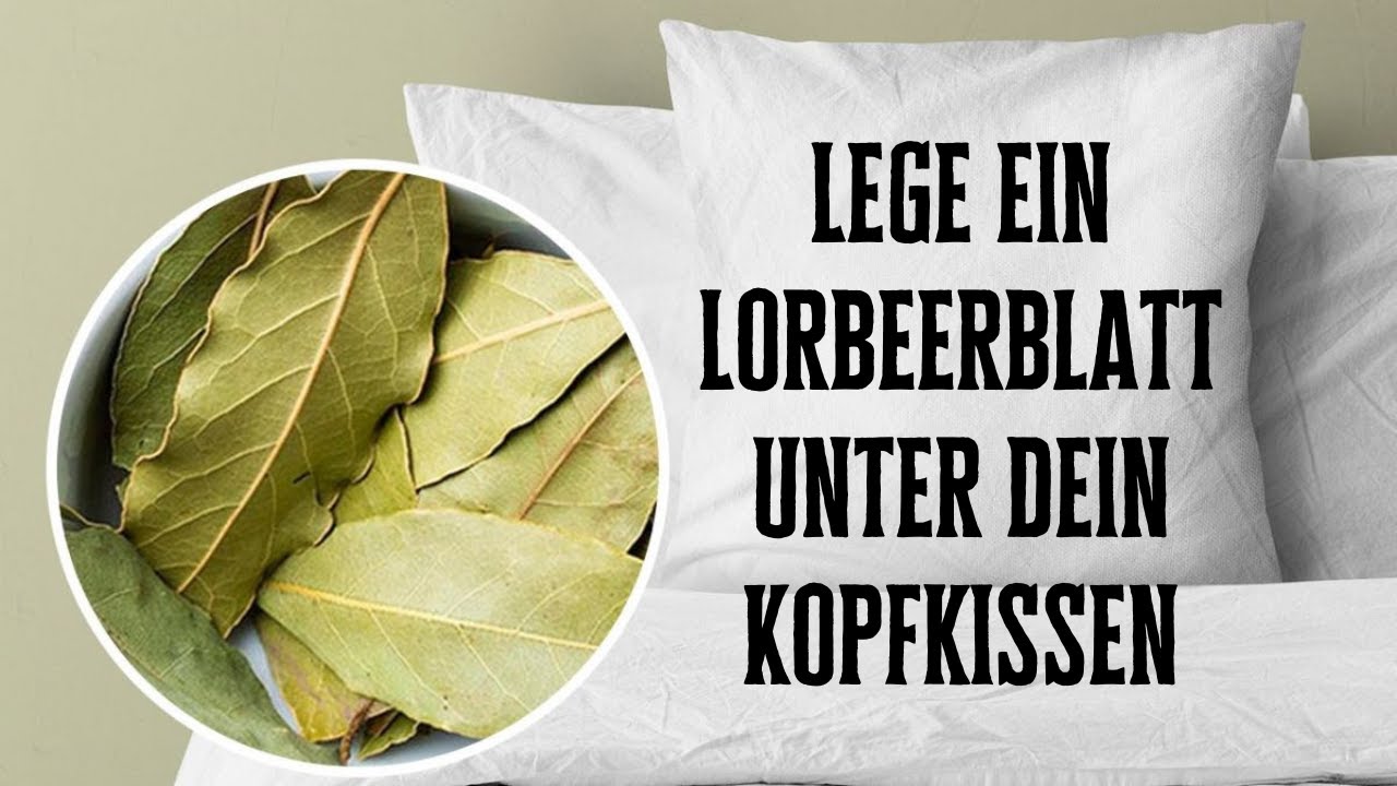 Lorbeer Unter Kopfkissen