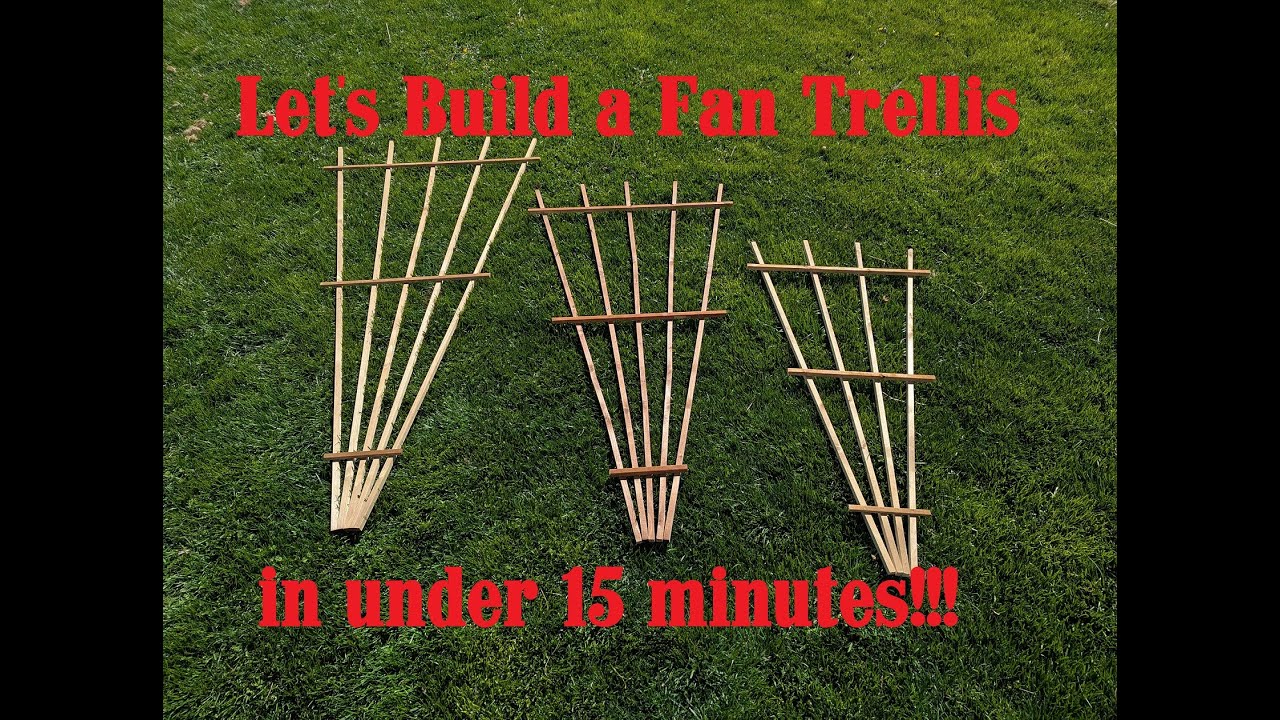 Build a garden Fan Trellis in less than 15 minutes for $5!!! #garden # ...