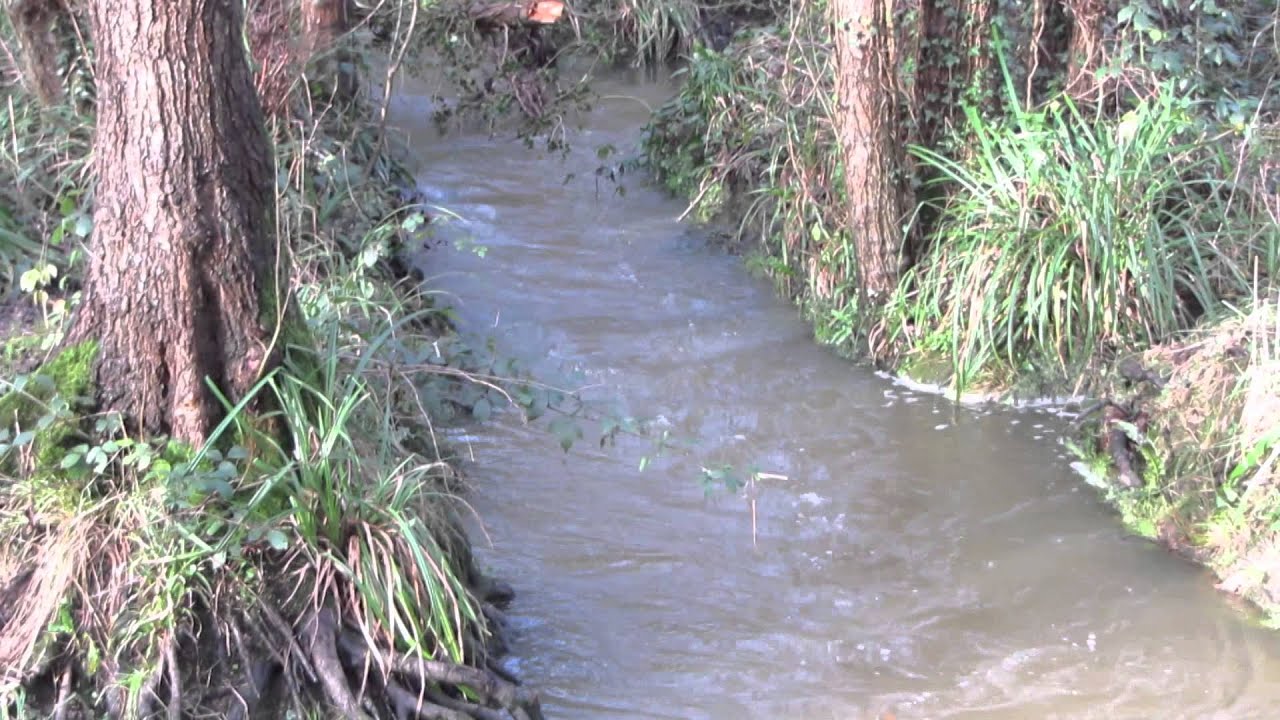 Hermitage Stream Waterlooville - YouTube