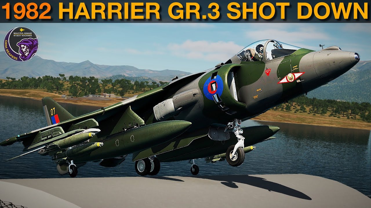 1982 Falklands War: Harrier GR3 XZ988 Shot Down At Goose Green | DCS ...