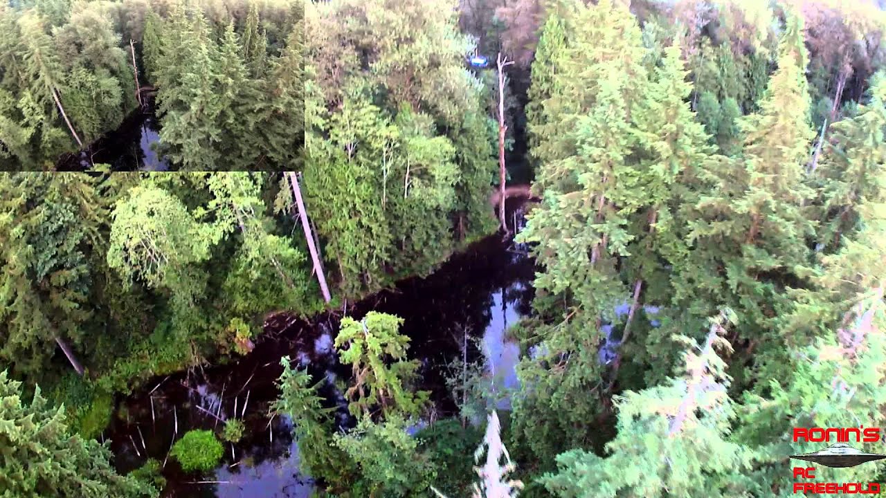 Kamikaze FPV - High Speed Tree Top Chase DJI Flamewheel 450 and QAV400 ...