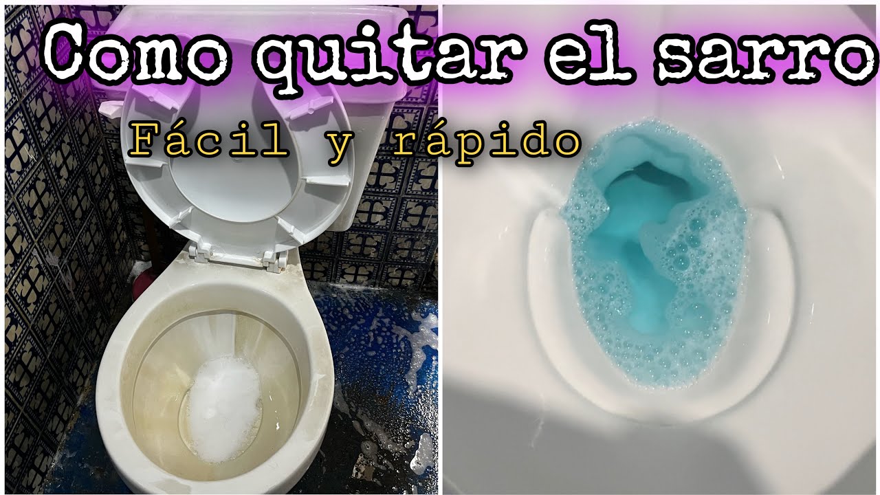 Cómo limpiar el sarro de la taza de baño 🚽 quitando el sarro de tu ...