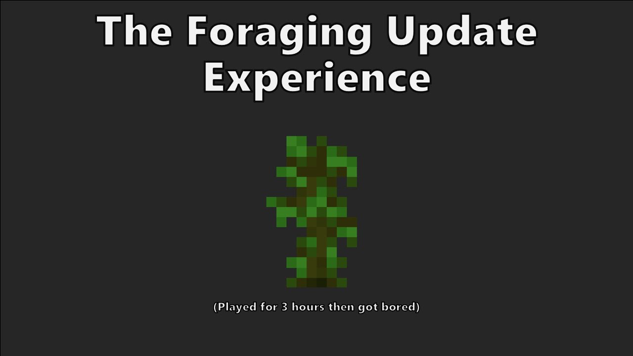The Foraging Update Experience - YouTube