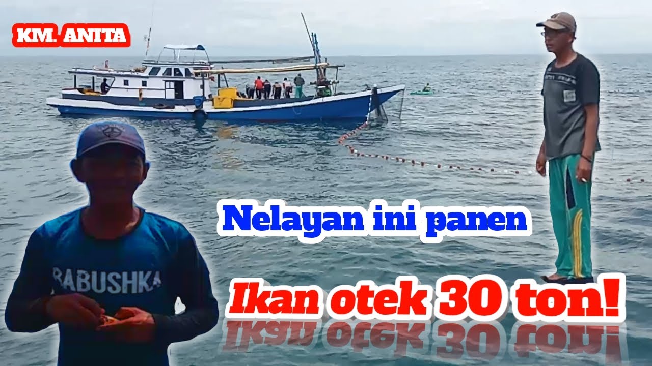 Panen ikan otek, total 30 ton! - YouTube