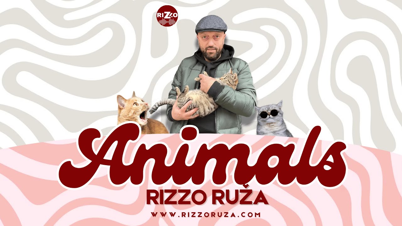 ANIMALS - RIZZO RUŽA - YouTube