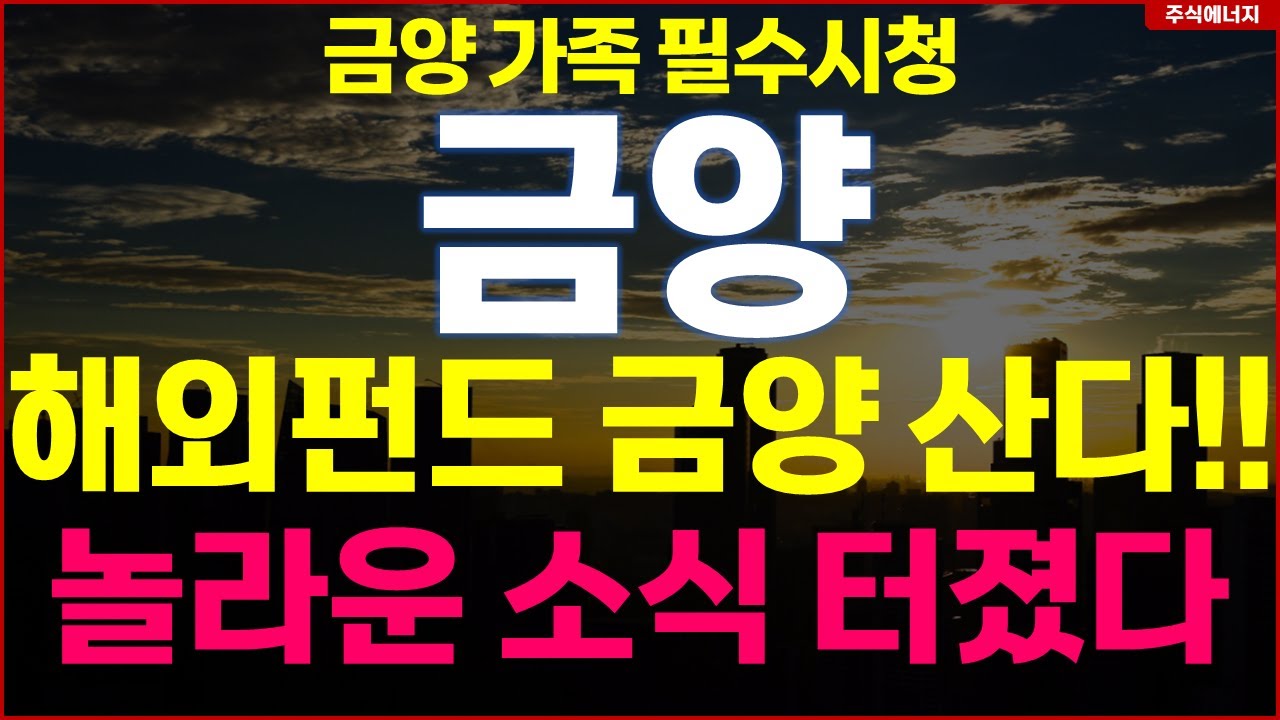 금양 해외펀드 금양 산다 놀라운 소식 터졌다 금양 가족 필수시청 리튬 하이드로리튬 이엔플러스 포스코케미칼 금양주가 에코
