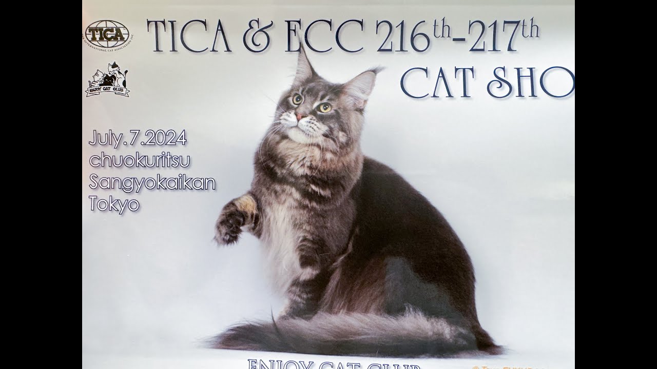 TICA&ECC 216th-217th CAT SHOW - YouTube