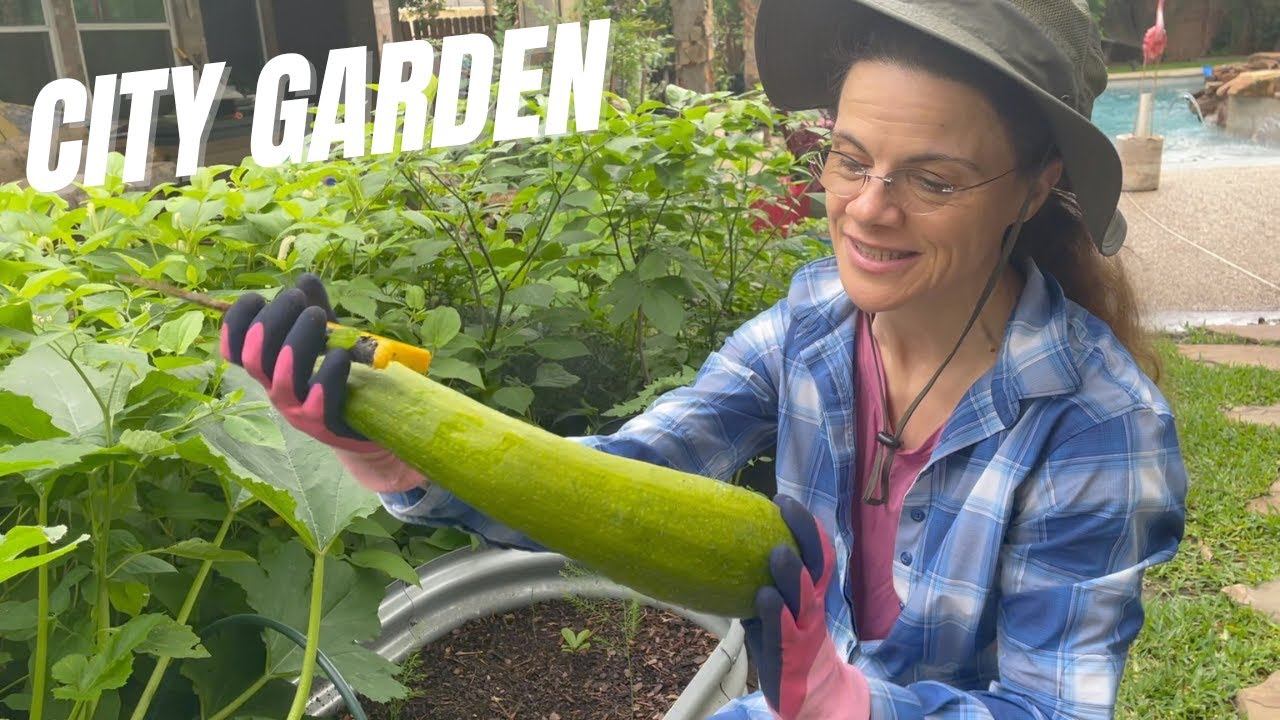 First Harvest from the Backyard Garden | Houston Texas, Spring 2024 ...