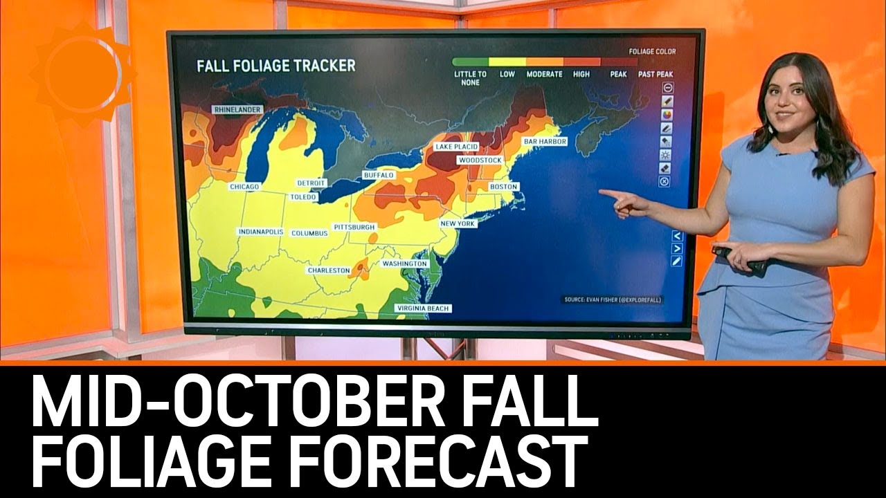 Your Mid-October Fall Foliage Forecast | AccuWeather - YouTube