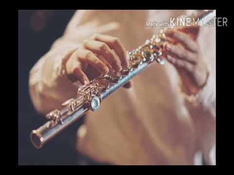 Beautiful and lovely flute sound😍😍 - YouTube