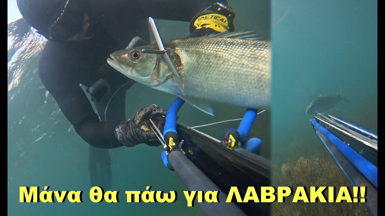 ΨΑΡΟΤΟΥΦΕΚΟ ΣΤΑ ΡΗΧΑ | Γιέ μου που πας ; Μάνα θα πάω για ΛΑΒΡΑΚΙΑ ...