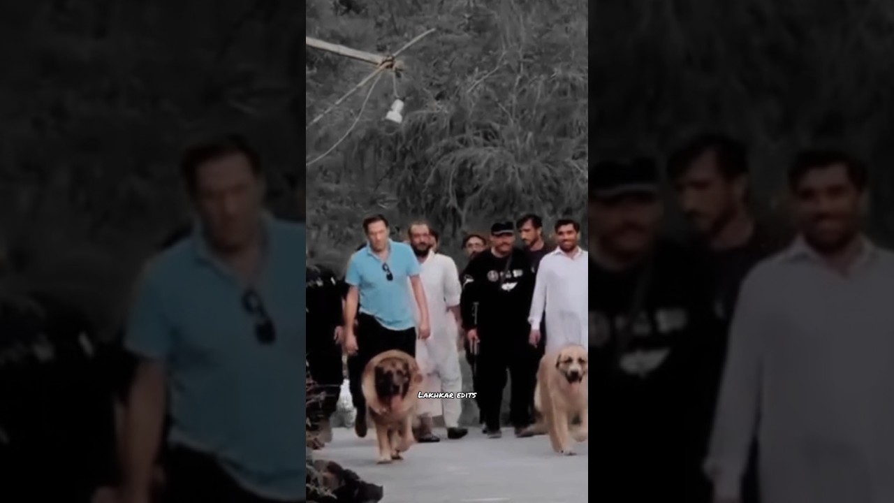 New Trend + Imran khan Walking with dogs focus on his Danger Look😎# ...