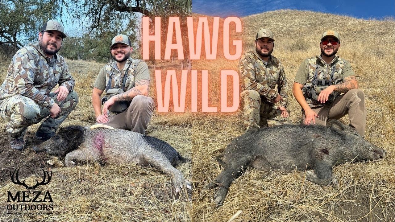 INSANE Wild Pig Hunt (4 HOGS DOWN)! | 605 Yard *Killshot* - YouTube