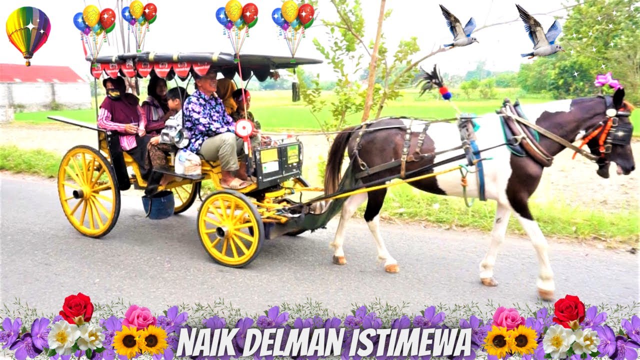 NAIK DELMAN ISTIMEWA 💕 Lagu Naik Delman Istimewa Versi 7 💕 Lagu Anak ...
