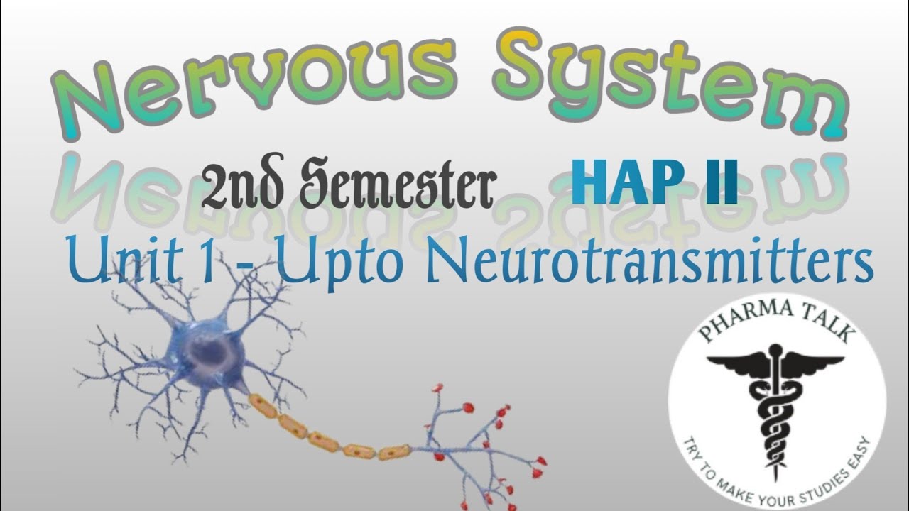 HAP II / Nervous System/ Unit 1 upto neurotransmitters/ #pharmatalk ...