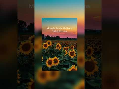 Mustafa Sandal-Gel Bana TikTok versiyon reverb