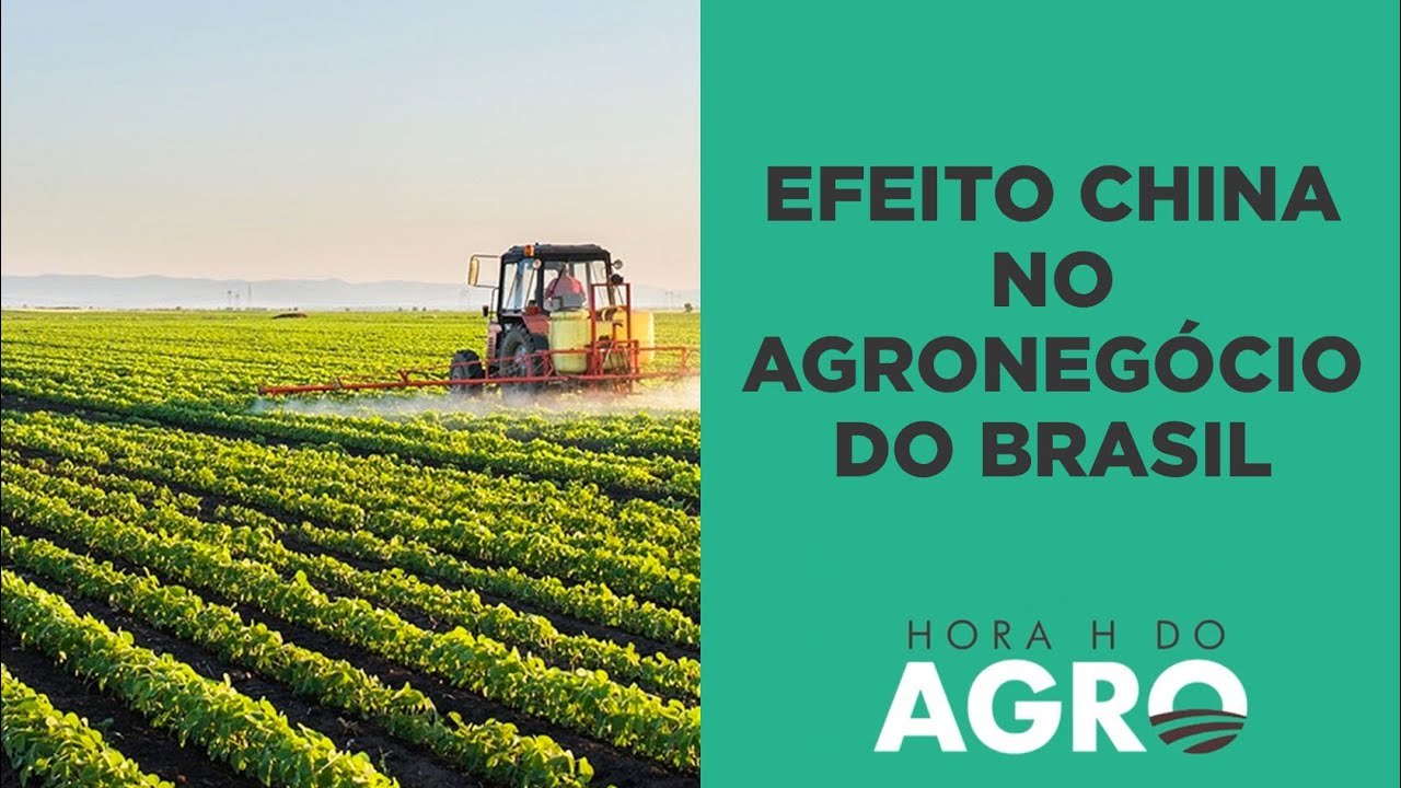 China vai continuar sendo o principal parceiro comercial do agro ...