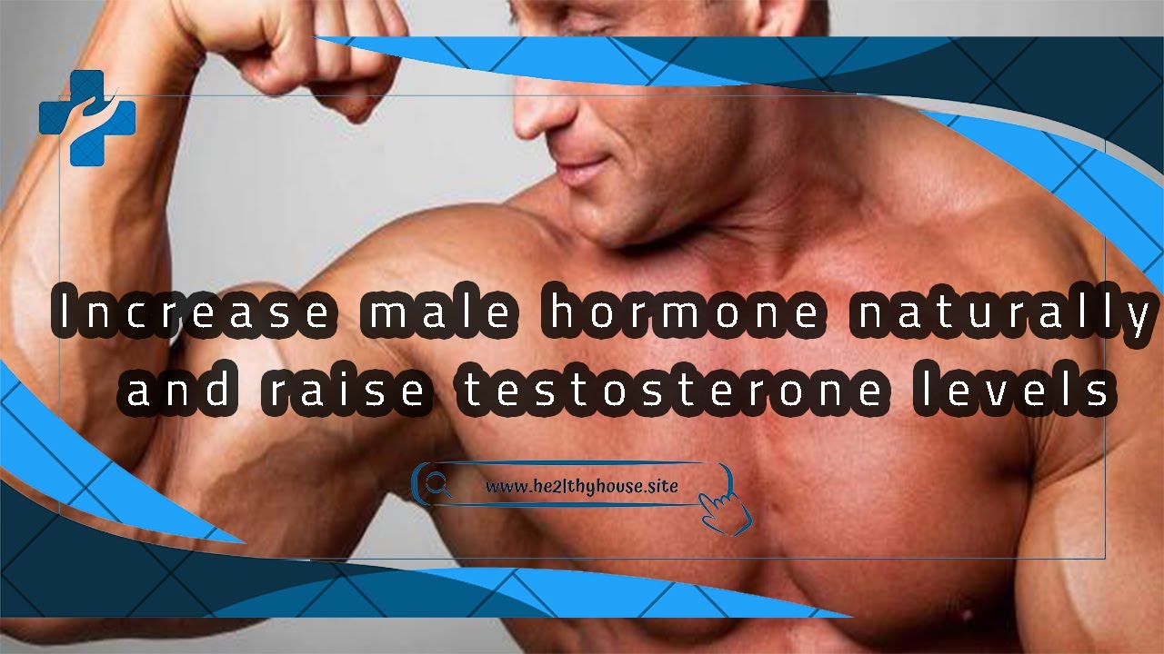 Increase male hormone naturally and raise testosterone levels - YouTube