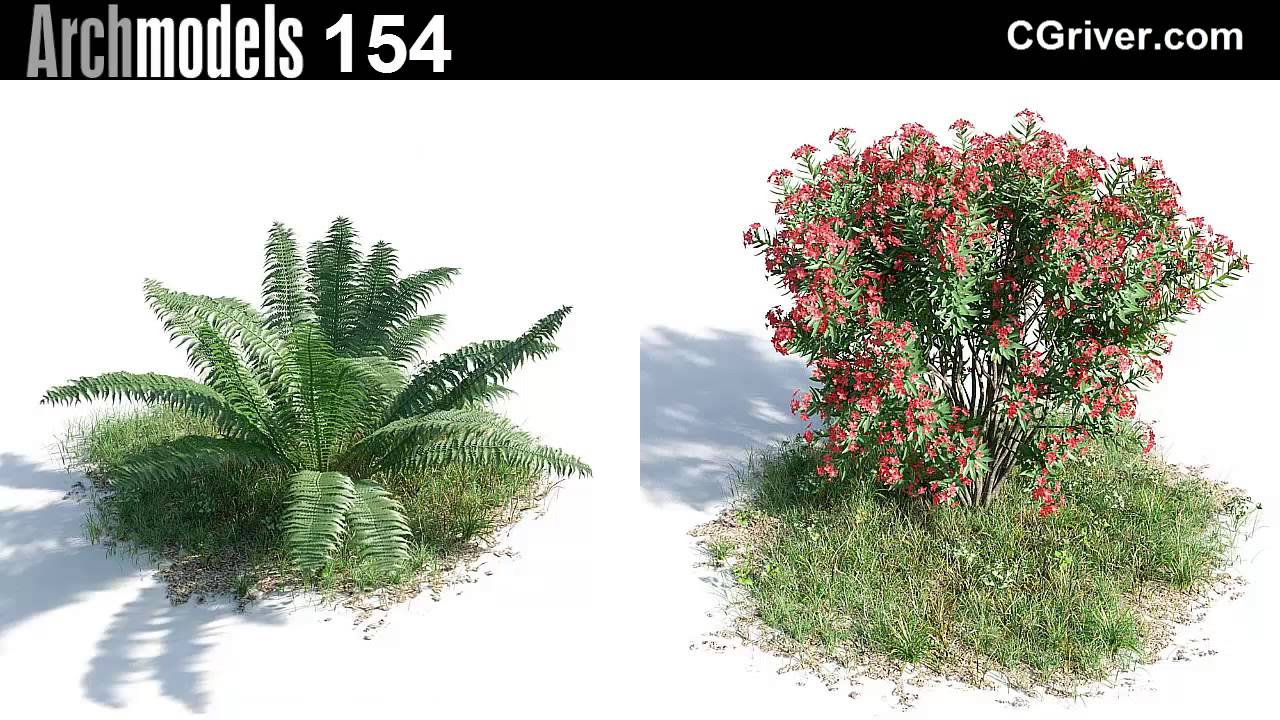 Evermotion Garden | Fasci Garden