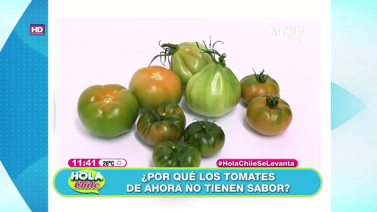 La razón científica de por qué los tomates ya no tienen el mismo sabor ...