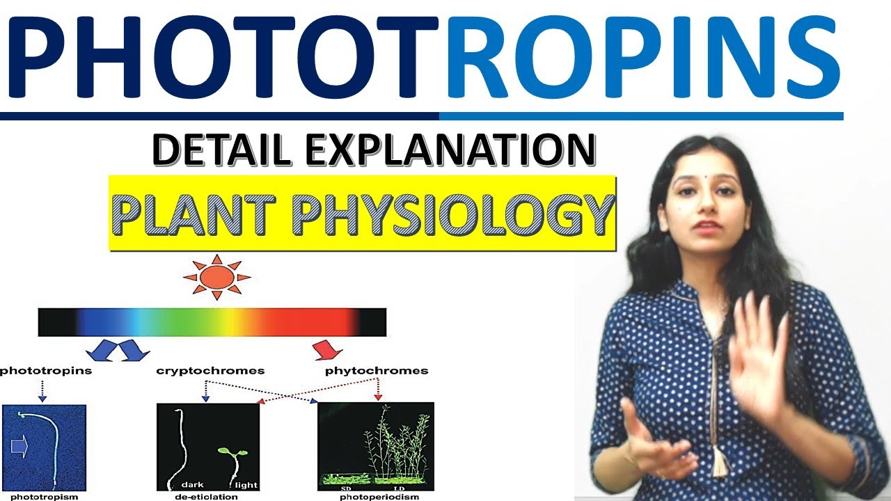 PHOTOTROPIN I Sensory Photobiology I Plant Physiology I Blue Light ...