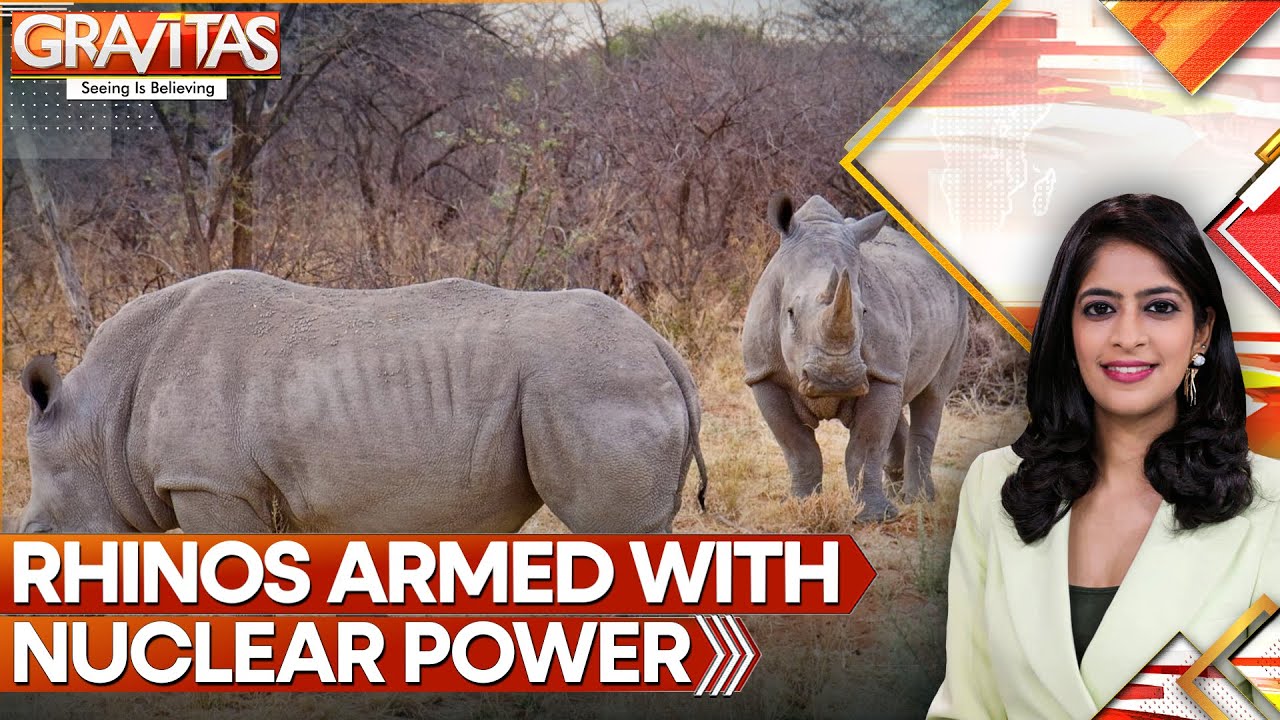Nuclear Power: The Rhino's Newest Weapon | Gravitas - YouTube