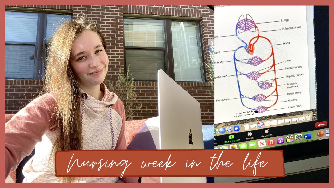 WEEK IN THE LIFE OF A NURSING STUDENT at the University of Tennessee ...