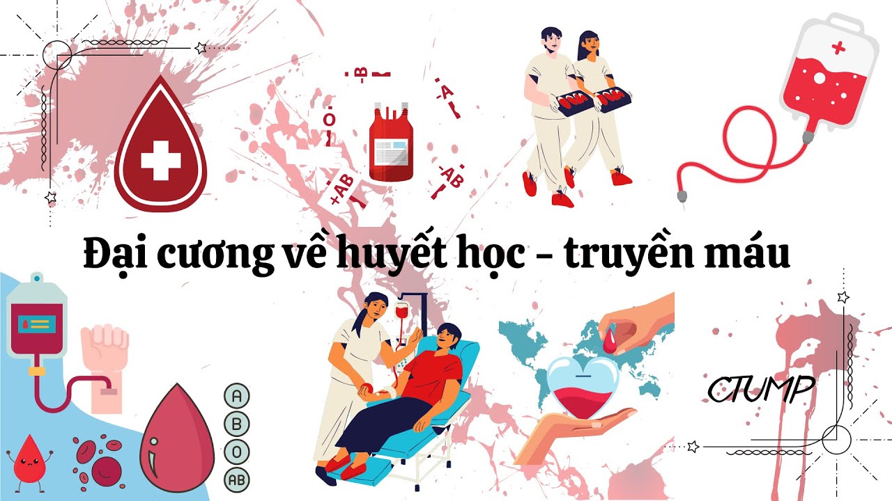 [HUYẾT HỌC CƠ SỞ] - Bài 1: Đại cương về huyết học - truyền máu _ CTUMP ...