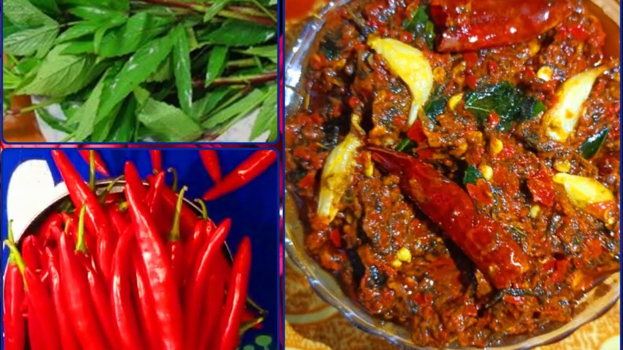 Noruurinchay😋Gongura PanduMirapakai Nilava Pachadi#Pakka kolathalatho ...