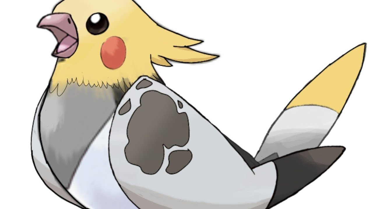 Cockatiel pokemon + SMOL GEO OH MY GOSH - YouTube