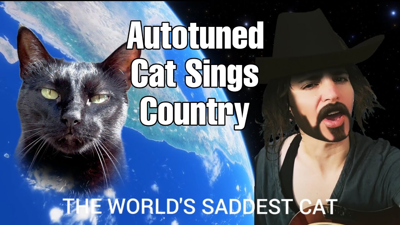 I Autotuned My Sad Cat And Made It A Country Song - YouTube