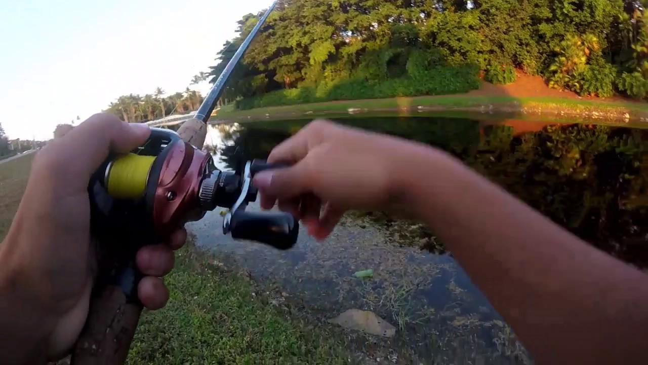 Gopro Hero Plus - Fishing 2016 - YouTube