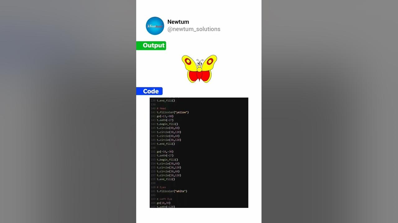 Butterfly In Python Using Turtle Newtum Elearning Programming Code Softwaredeveloper 