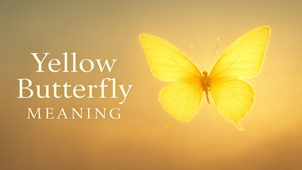 Yellow Butterfly Meaning – The Sign You Need to Know Now | Ancestral ...
