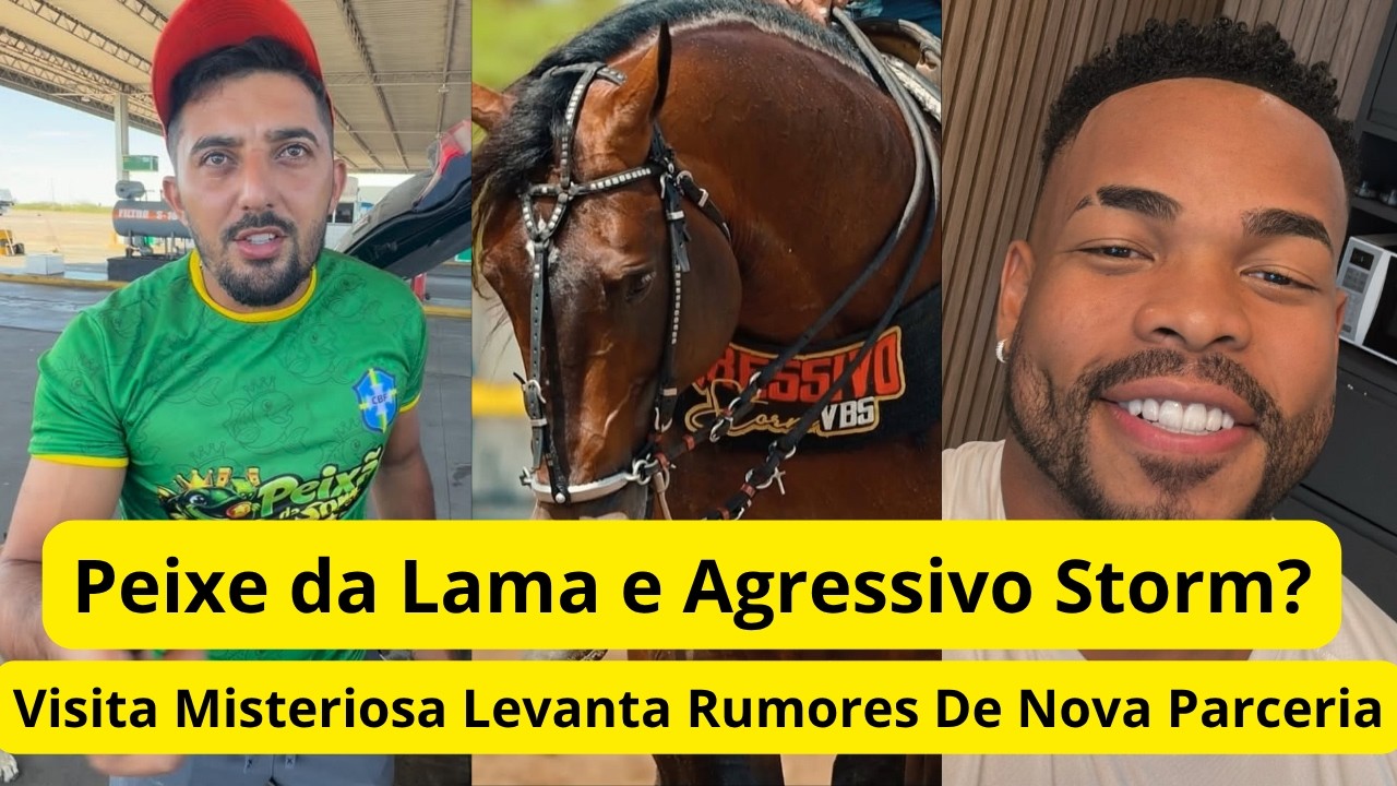 Peixe da Lama no Agressivo Storm? O Novo Conjunto Que Pode Dominar as ...