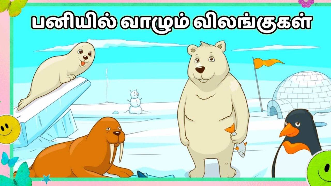 பனியில் வாழும் விலங்குகள் | paniyil vaalum vilangugal | Animals name in ...