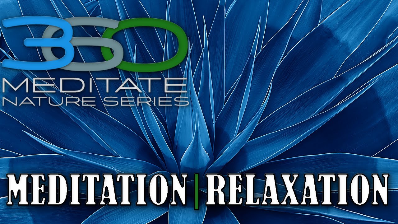 1 hour of relaxing nature scenery & calm meditation soundscape ...