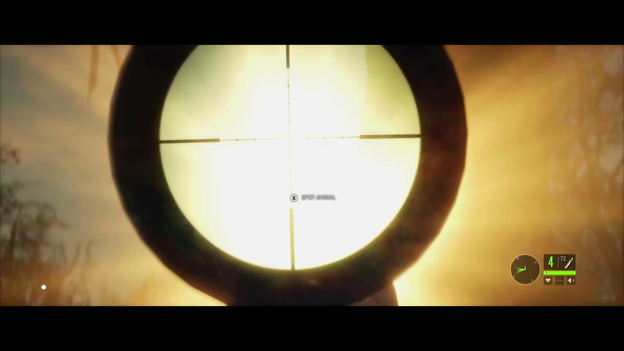 Hunting DILUTE MULE DEER - YouTube