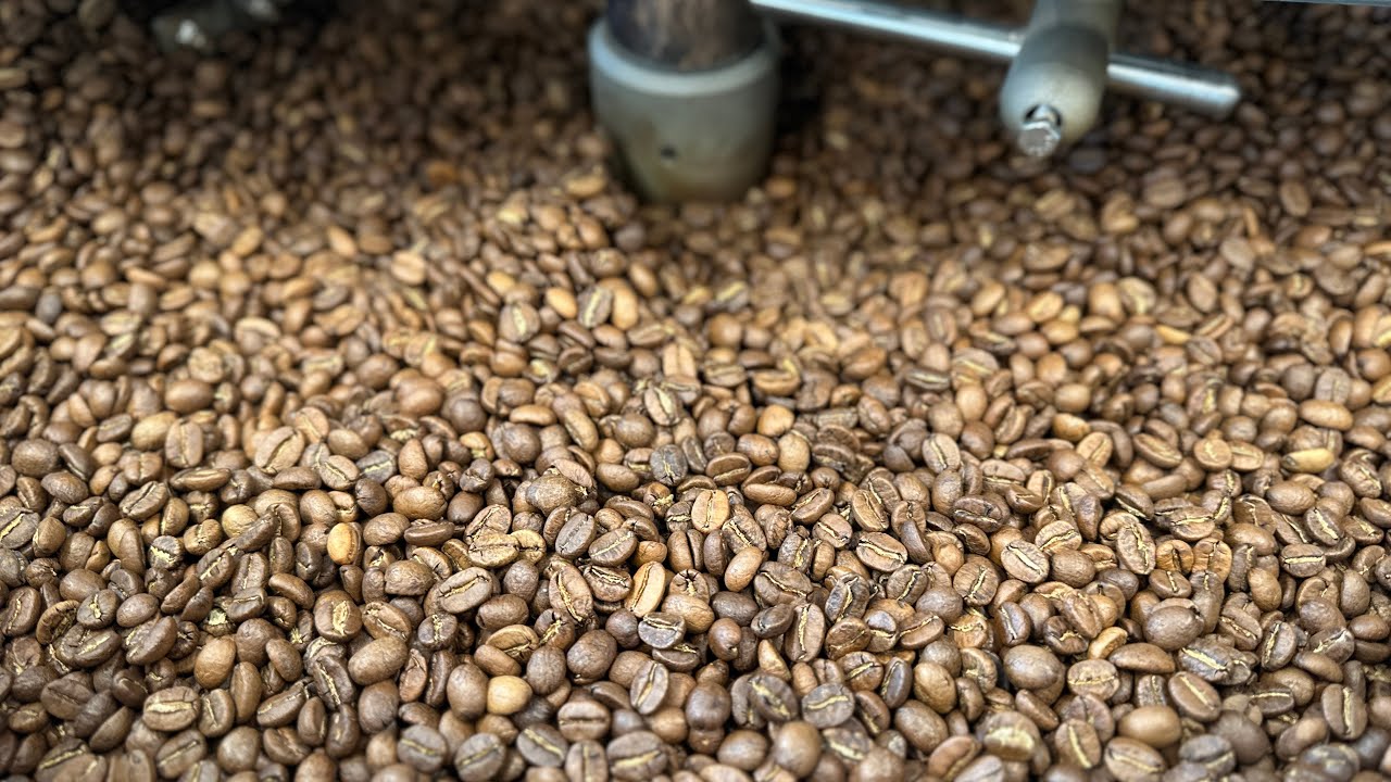Roasting Jamaican Blue Mountain Coffee on my Mill City 3K Roaster ...