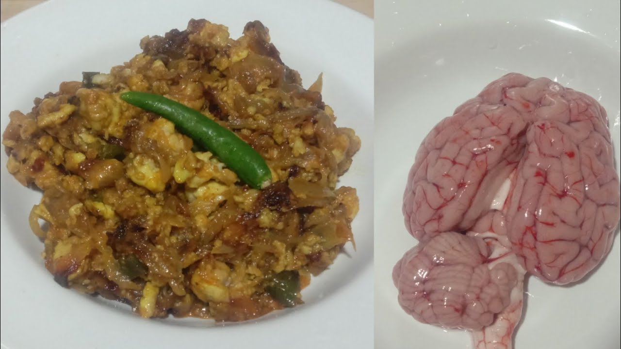 Goat brain fry recipe | mutton brain fries (Fazi's kitchen food) - YouTube