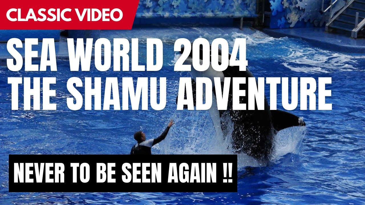 SEA WORLD, SHAMU ADVENTURE - You'll Never see this Again - YouTube