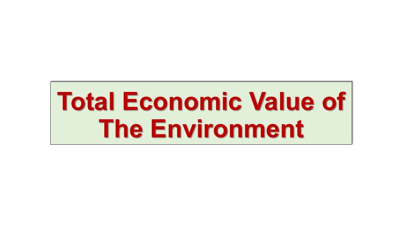 Total Economic Value of Enviroment - YouTube